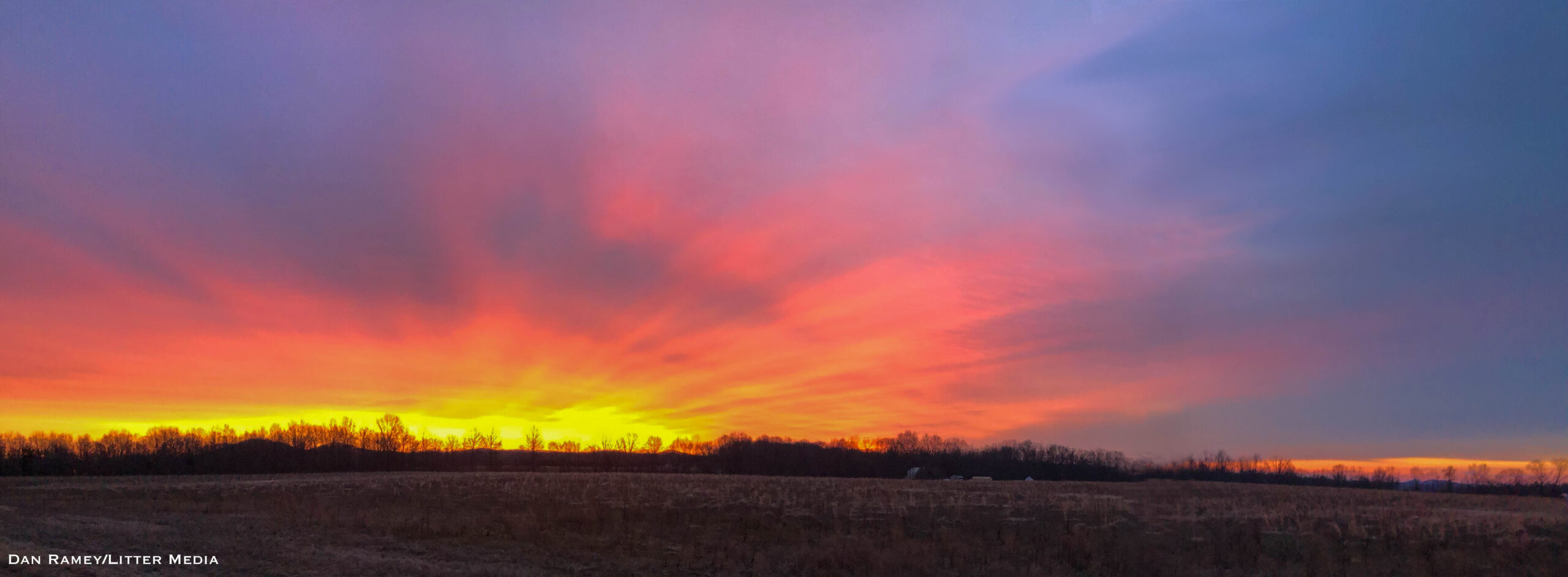 photos - Litter MediaLitter Media