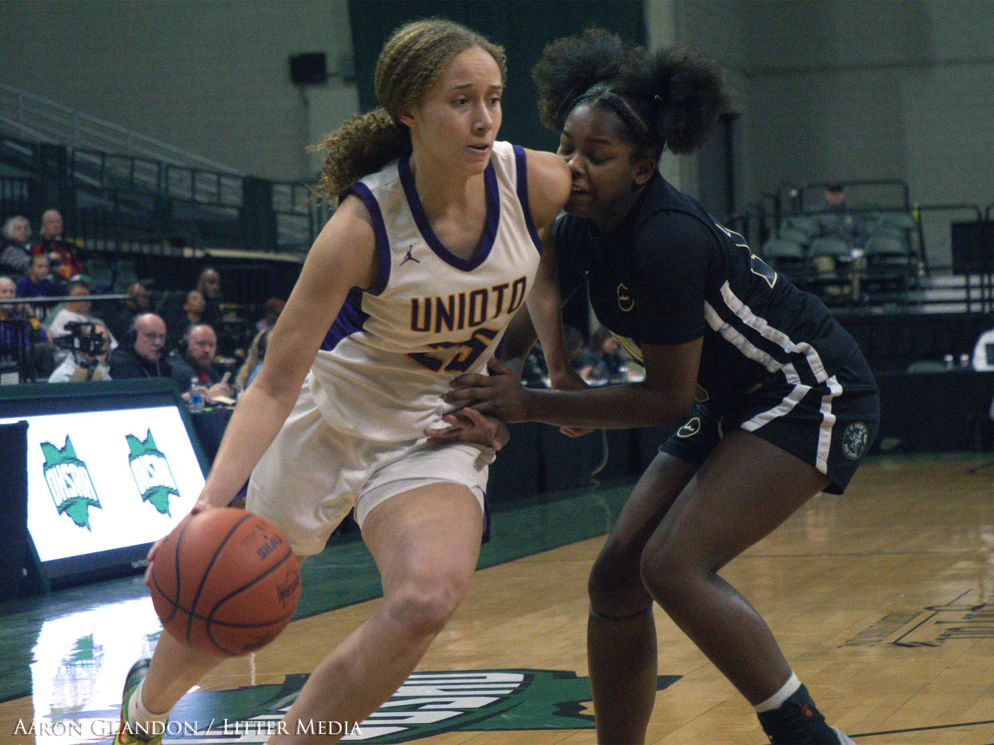 Lady Shermans Fall in D-III State Semifinal - Litter MediaLitter Media